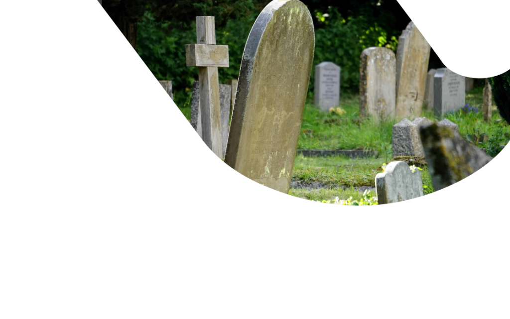 Cemetery management system: what to look for and how SAMM fits - SAMM ...